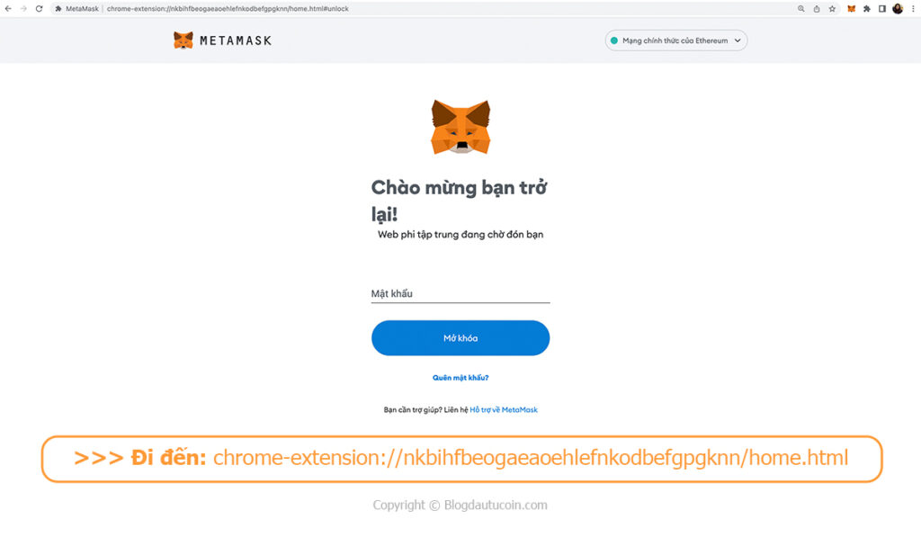 Hướng dẫn khôi phục lại 12 cụm từ bí mật Ví MetaMask - DO THANH TRUNG